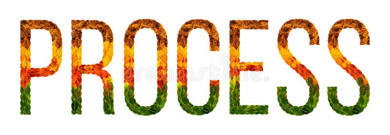 Word Process Written with Leaves White Isolated Background, Banner for ...