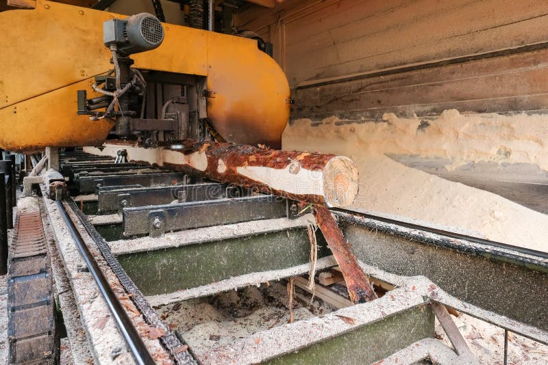 The Process of Working Wood Processing on Sawmill Equipment. Timber ...
