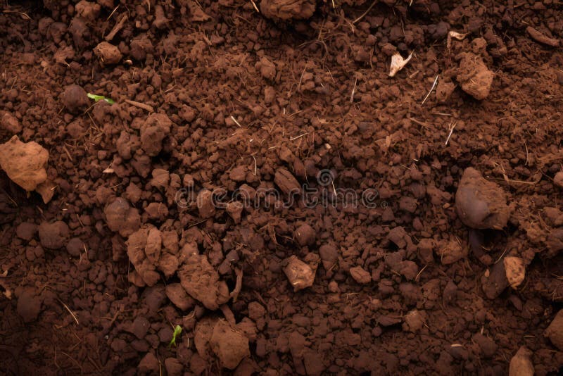196 Processed Collage Underground Brown Soil Layer Material Texture ...
