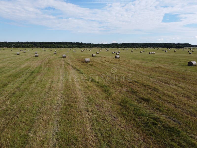 Processed Farm Fields Aerial Photo on a Summer Day Stock Image - Image ...