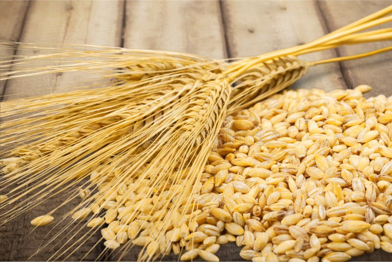 Processed Grains stock photo. Image of processed, corn - 60009036
