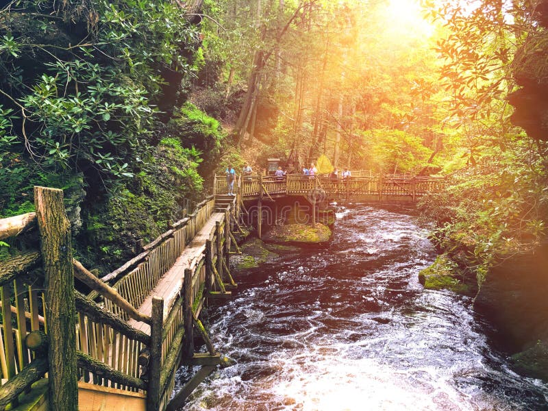 Bushkill Falls Boardwalks with Flowing Water Stock Image - Image of ...