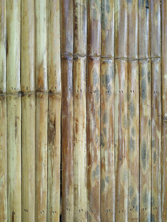 Processed Products from Bamboo Stock Photo - Image of processed ...