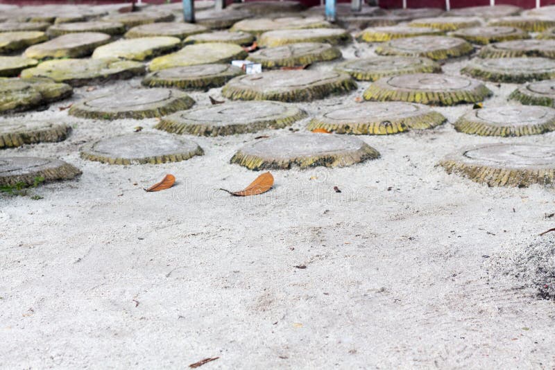 1,168 Pond Floor Texture Stock Photos - Free & Royalty-Free Stock ...