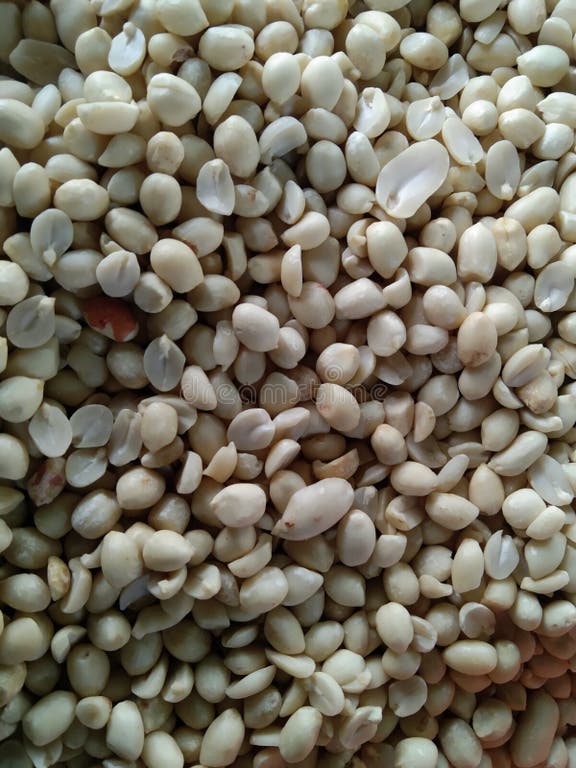 Processed Traditional White Bean Food Stock Photo - Image of cooking ...