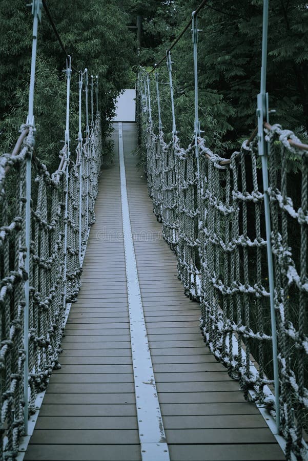 Suspension Bridge in the Forest of a Gatden Stock Image - Image of ...