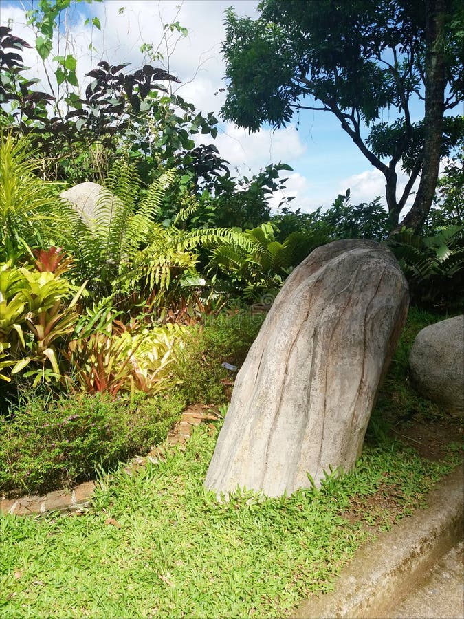 Giant Rock on a Garden with Ferns, Bushes, and Trees, Nicely Cutted ...