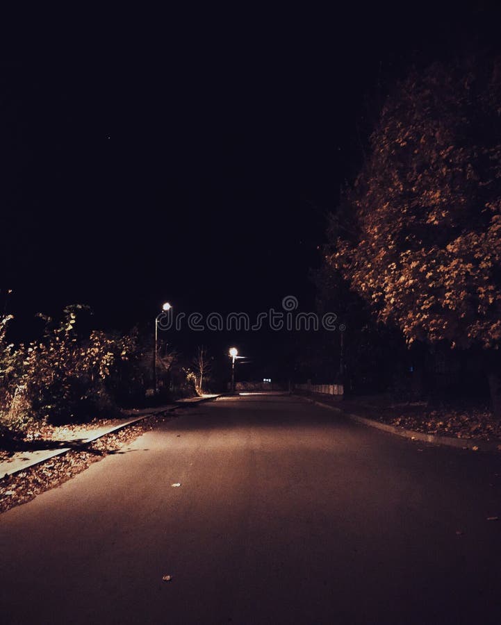 Lonely road stock photo. Image of preset, fall, vsco - 131392722