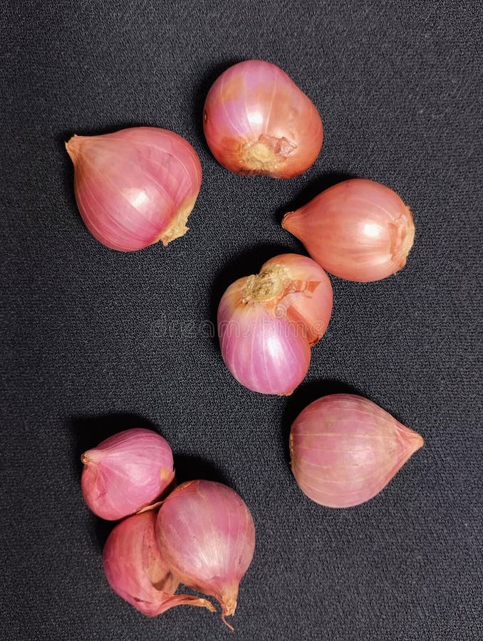 Bunch of small red onions stock image. Image of harvest - 306211877