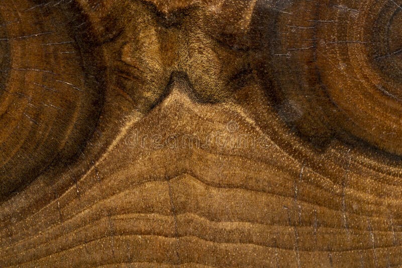 Processed Walnut Tree Wood with Annual Rings Stock Photo - Image of ...