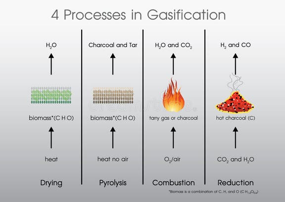 4 Processes in Gasification. Education Infographic. Vector Design ...