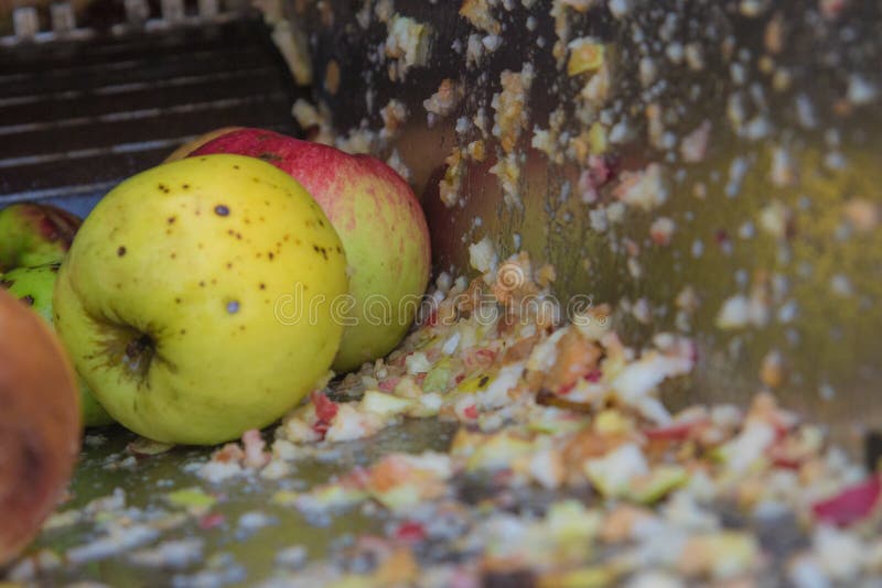 Processing of Apples for Juice Production. Stock Image - Image of fruit ...