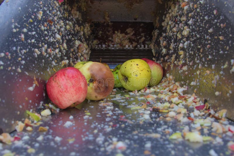 Processing of Apples for Juice Production. Stock Image - Image of ...