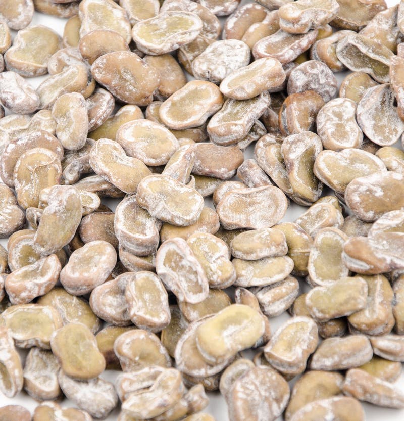 After Processing of Broad Beans Stock Image - Image of broad, nature ...