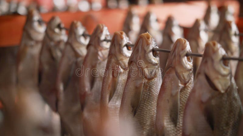 Processing Dried Fish at a Fish Factory. Fish Drying. Fish Seafood ...