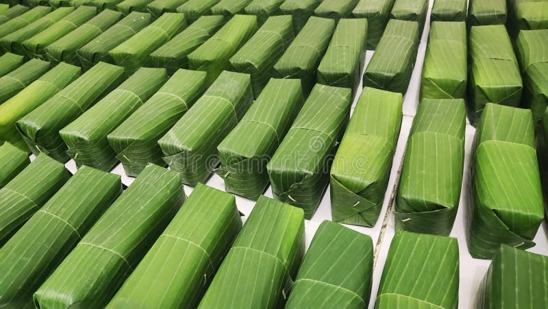 Processing Fermented Soybean Cake or Tempe Stock Image - Image of lawn ...