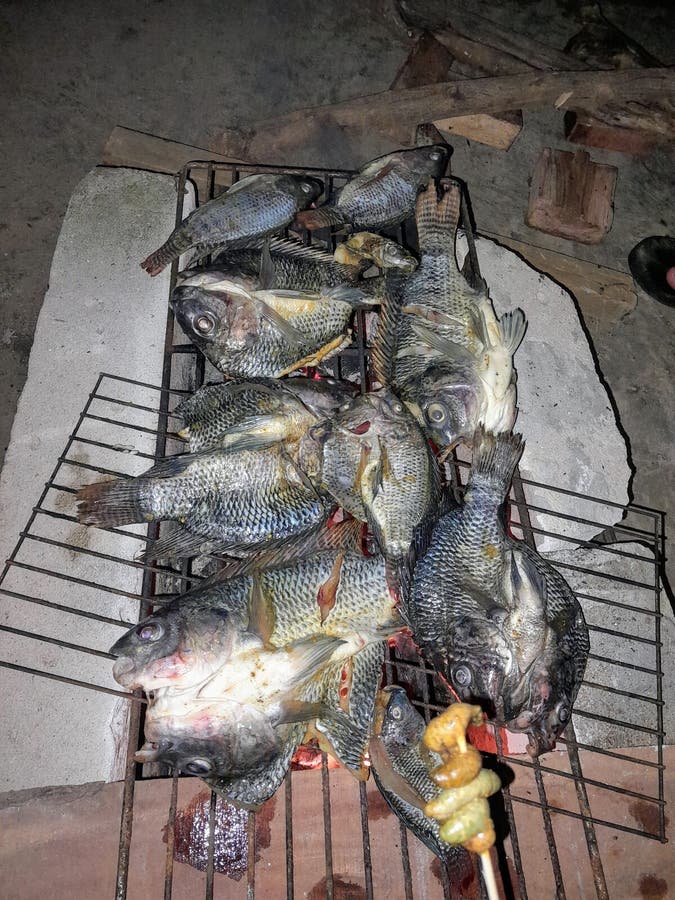 Processing Fish by Grilling Stock Photo - Image of food, grilling ...