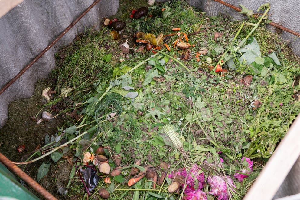 Processing of Organic Waste, Compost Preparation Stock Image - Image of ...