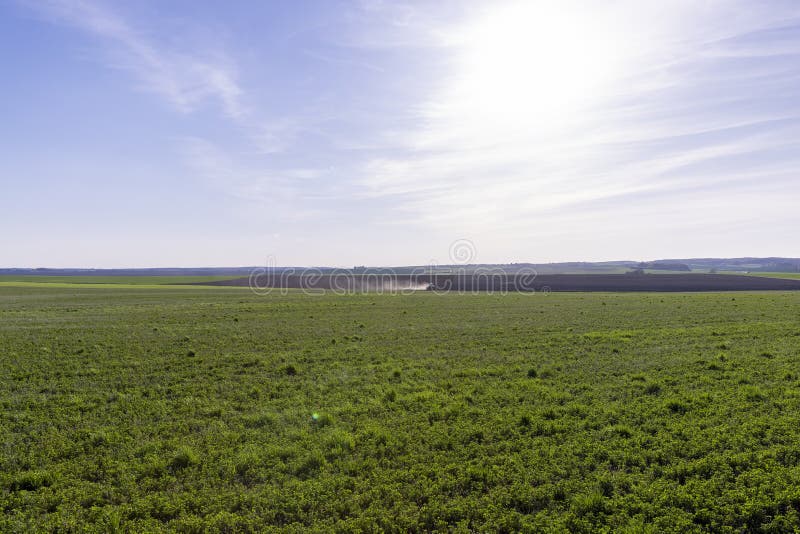 Processing and Preparing the Soil for Sowing with a New Crop Stock ...
