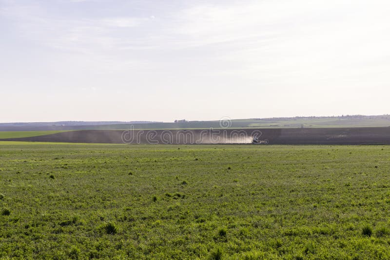 Processing and Preparing the Soil for Sowing with a New Crop Stock ...