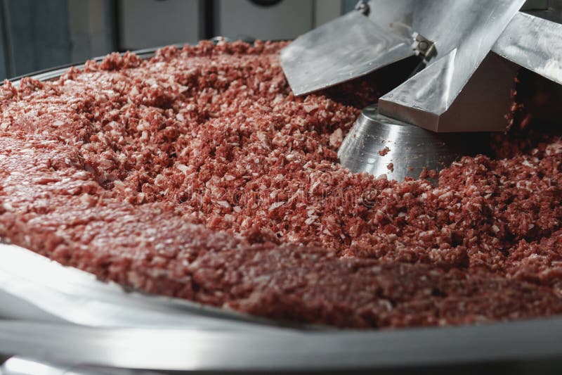 Processing of Production Minced Meat in Industrial Meat Grinder, Close ...