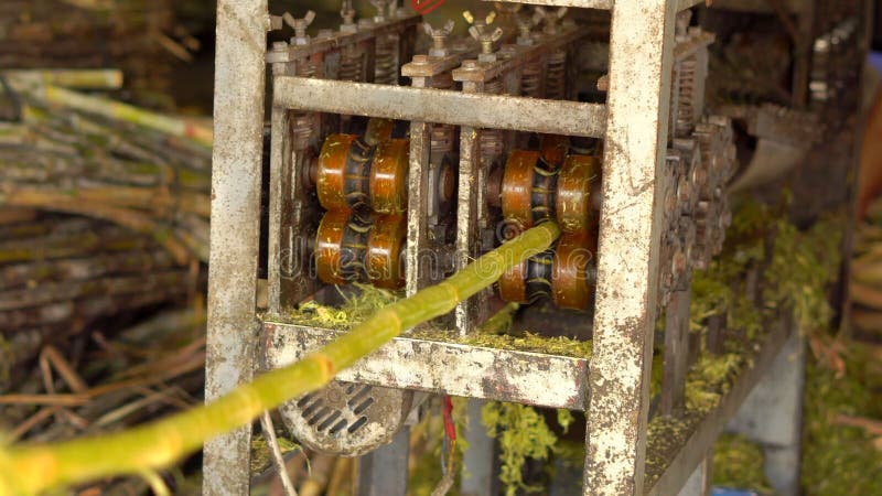 Processing of a Raw Sugar Cane. Sugar Production. Stock Footage - Video ...
