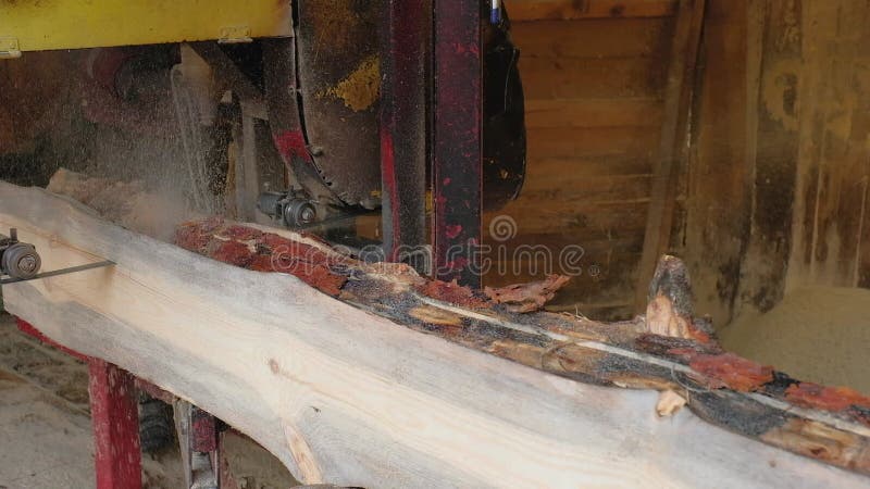 Processing and Sawing Timber at a Sawmill. the Production Process at ...