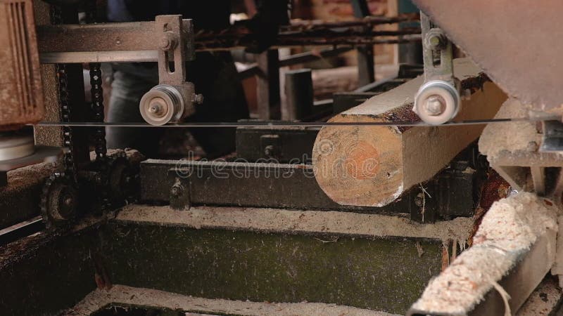 The Process of Processing Pine Wood on Sawmill Equipment. Timber ...
