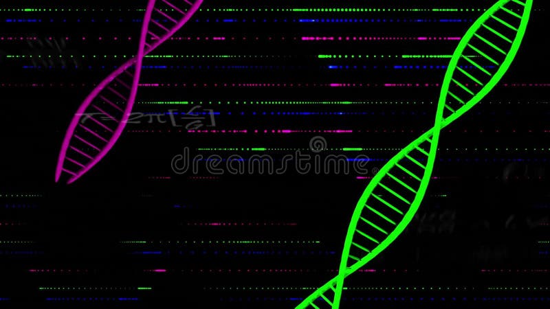 Processing Scientific Data Animation Showing Dna Strands And Binary
