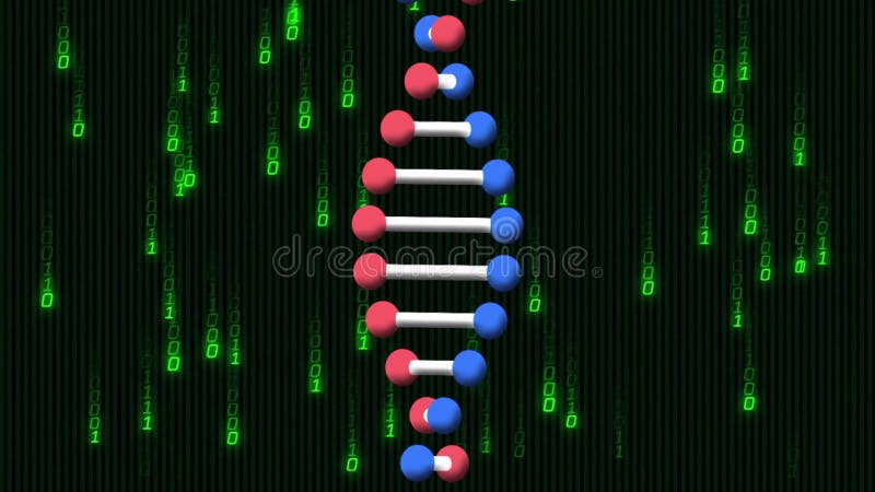 Processing Scientific Data Dna Strand And Binary Coding Animation In 3364