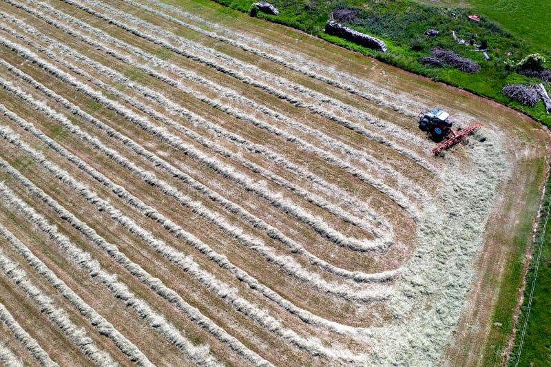 Preparation of Food for Animals for the Winter Stock Photo - Image of ...