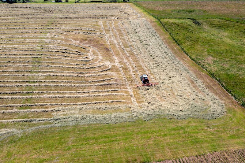 Processing Silage with Tractor in the Field. Stock Image - Image of ...