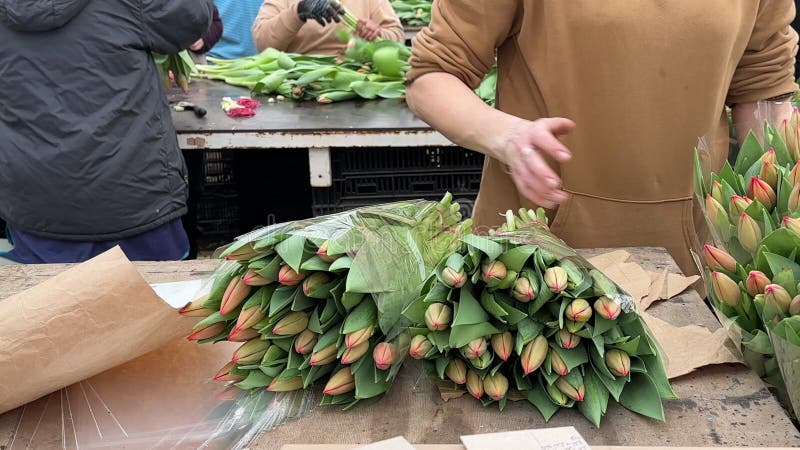 Processing, Sorting, Packaging Professional Gardeners Flower Nursery ...