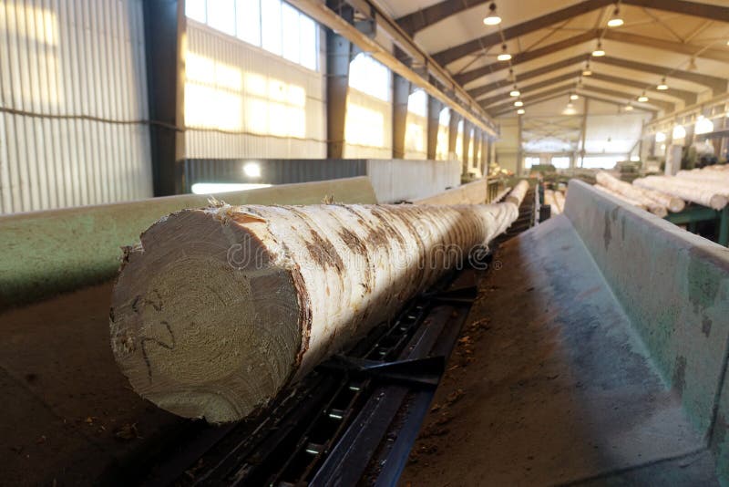 Processing of Timber at the Sawmill Stock Image - Image of control ...