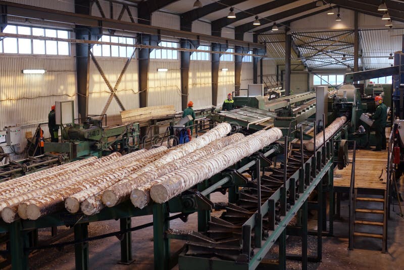 Processing of Timber at the Sawmill Stock Photo - Image of noise ...