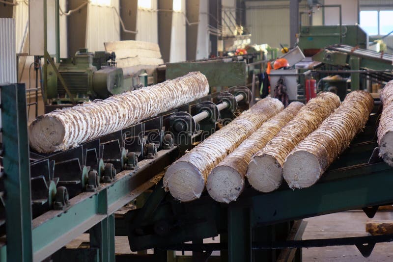 Processing of Timber at the Sawmill Stock Image - Image of control ...