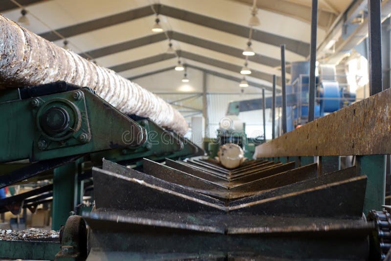 Processing of Timber at the Sawmill Stock Image - Image of control ...