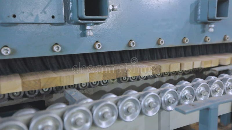 Processing Wood Blanks on a Conveyor Line. Automated Production Line in ...