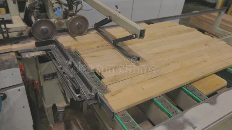 Processing Wood Blanks on a Conveyor Line. Automated Production Line in ...