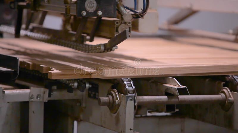 Processing Wood Blanks on a Conveyor Line. Automated Production Line in ...