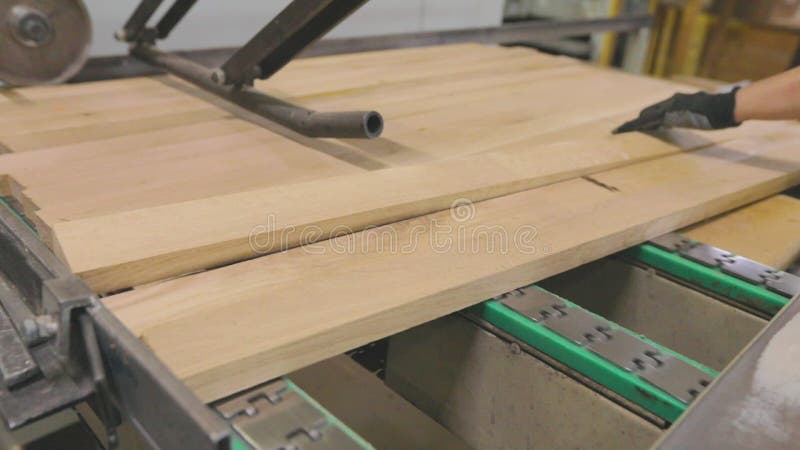 Processing Wood Blanks on a Conveyor Line. Automated Production Line in ...