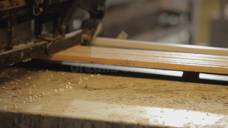 Processing Wood Blanks on a Conveyor Line. Automated Production Line in ...