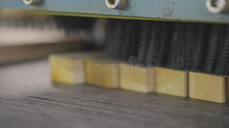 Processing Wood Blanks on a Conveyor Line. Automated Production Line in ...