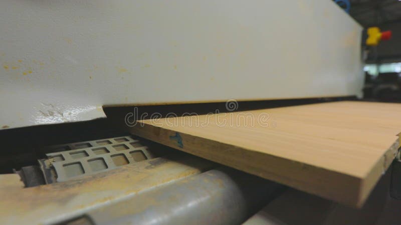 Processing Wood Blanks on a Conveyor Line. Automated Production Line in ...