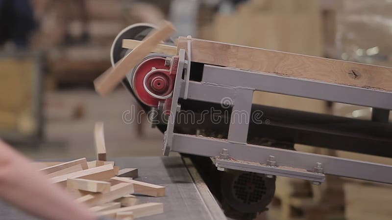 Processing Wood Blanks on a Conveyor Line. Automated Production Line in ...
