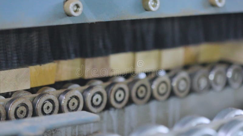 Processing Wood Blanks on a Conveyor Line. Automated Production Line in ...