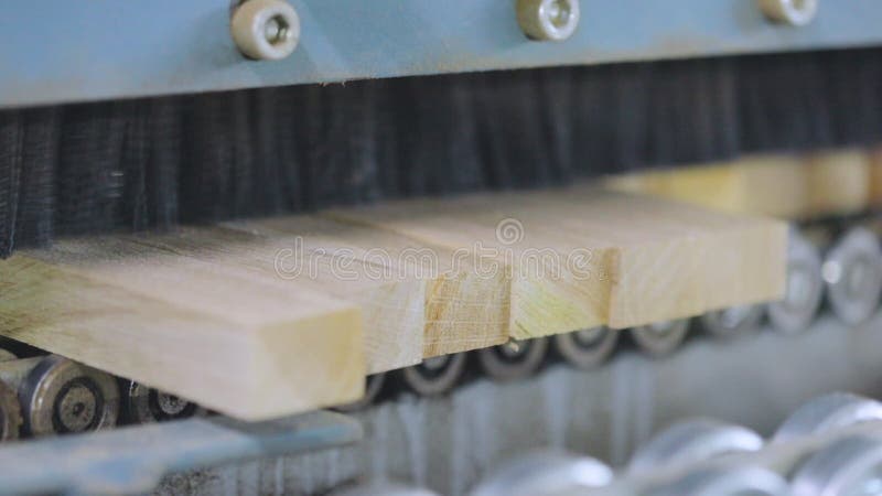Processing Wood Blanks on a Conveyor Line. Automated Production Line in ...