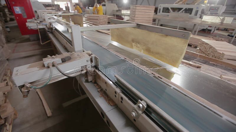 Processing Wood Blanks on a Conveyor Line. Automated Production Line in ...