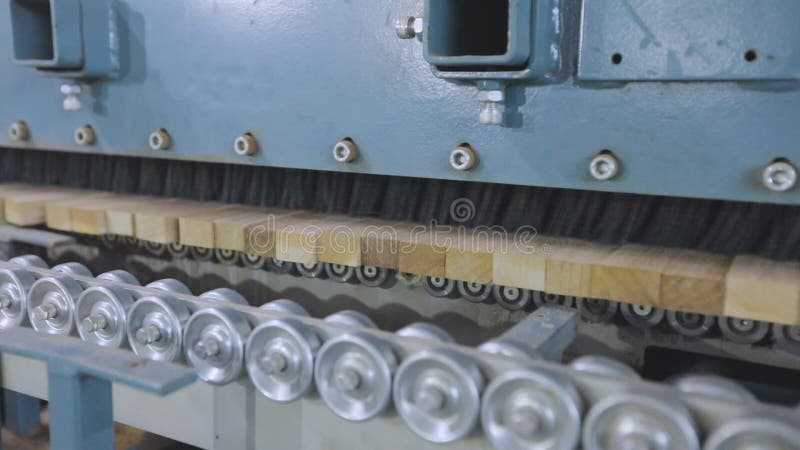 Processing Wood Blanks on a Conveyor Line. Automated Production Line in ...