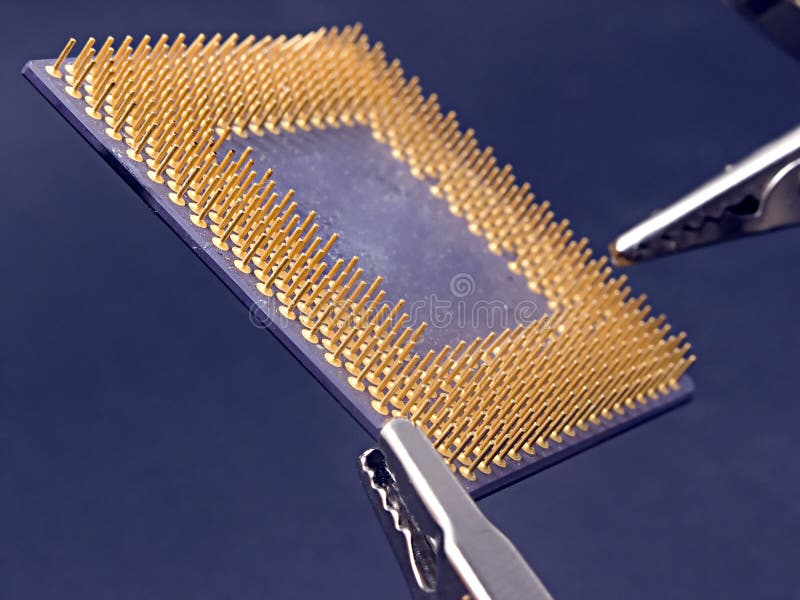 Processor stock photo. Image of internet, macro, board, blurred - 13196